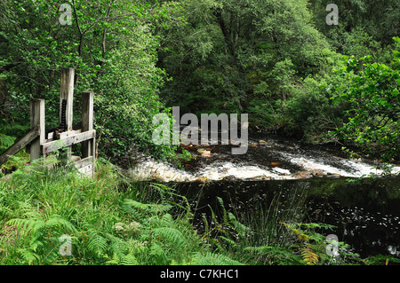 The Forest of Birse by the Bucket Mill near Finzean in Aberdeenshire ...