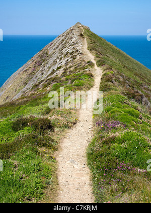 Higher Sharpnose Point and Atlantic Ocean from the abandoned windowless ...
