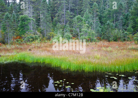 Wetlands area in Victory Basin Wildlife Management Area in Victory ...