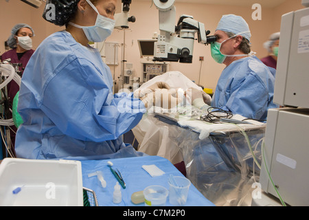 Ophthalmologist performing cataract surgery Stock Photo - Alamy