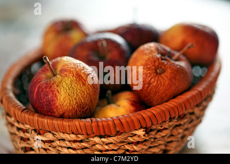 basket rotten apples Stock Photo - Alamy