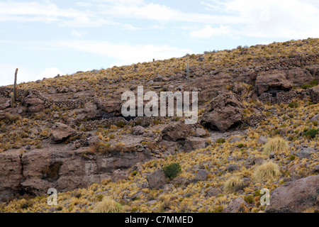Tombs in the mountainside above Coqueza, Bolivia Stock Photo - Alamy