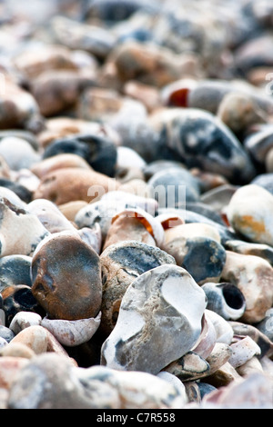 Littlehampton river ferry on the River Arun in Littlehampton, West ...