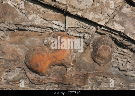 Fractures in volcanic rock Stock Photo: 30583432 - Alamy
