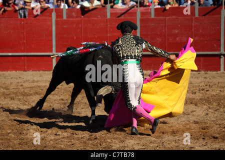 Bullfighter in action during a bullfight using the muleta (cape with ...
