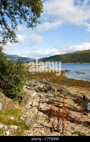 Loch Sunart, Ardnamurchan Stock Photo - Alamy