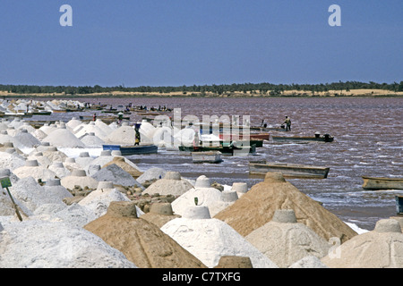 Salt extraction on Pink Lake, Senegal Stock Photo - Alamy