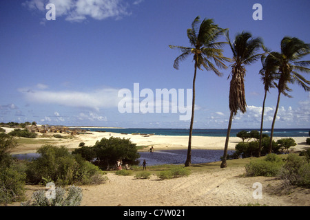 Madagascar, Ifaty, landscape Stock Photo - Alamy