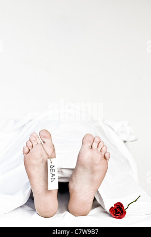 Human cadaver, detail of foot with toe tag Stock Photo - Alamy