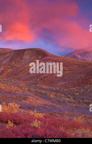 Sunset in Sable Pass, Denali National Park, Alaska Stock Photo ...