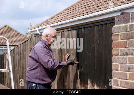 elderly man applying creosote to fence panels for preserving them Stock ...