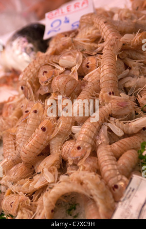 Customers buying fresh seafood and shellfish at Oban port, mussels ...