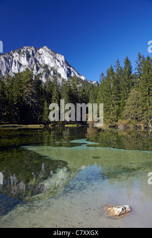 Gruner see, green lake, Styria, Austria Stock Photo - Alamy