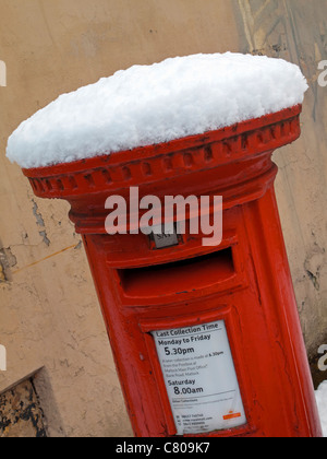 Close up of post box covered in Liberty print, located in the flower ...