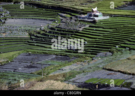 Indonesia, Sumatra, Lake Toba region, traditional village Stock Photo ...