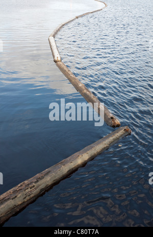 Wood logs floating on water kept for seasoning near echo point at lake ...
