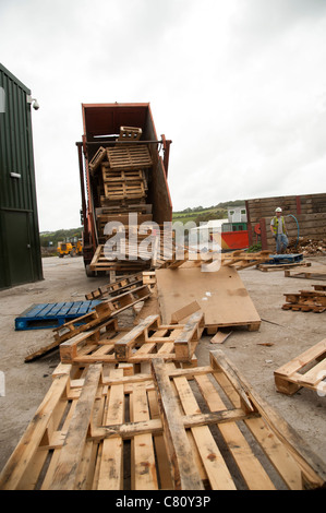 A skip lorry dumping a load of wooden pallets for recycling at a waste ...