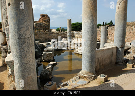 Bath of Varius, Archaeological Site of Ephesus in Turkey Stock Photo ...