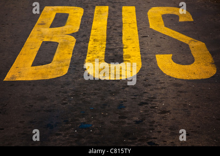 Yellow Bus Stop sign painted on the asphalt closeup Stock Photo - Alamy