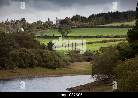 Ireland, Co Wicklow, Roundwood, Vartry Reservoir, castle like Stock ...