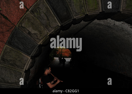 Inscope tunnel in Central Park, New York City early autumn Stock Photo ...