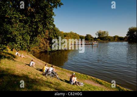 The Bathing Pond, Hampstead Heath Stock Photo - Alamy