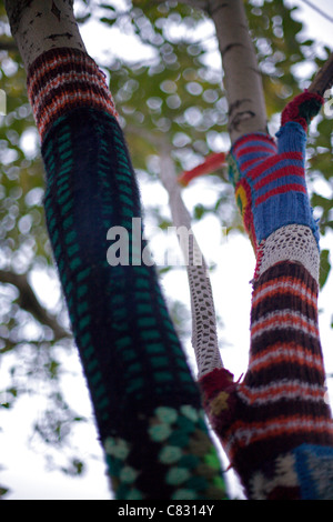 Hand knit sweaters for trees Stock Photo - Alamy