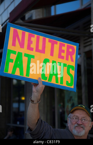 A protester with the "Occupy Wall Street" movement considers where to ...