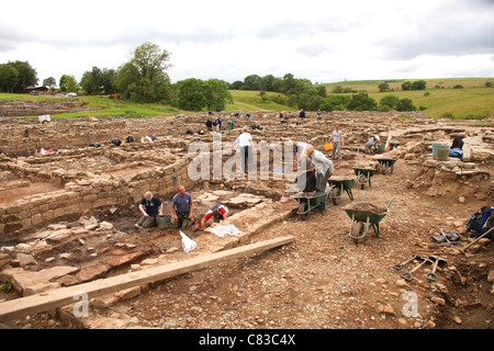 Student archaeologist digging at an excavation at Fort Mose ...