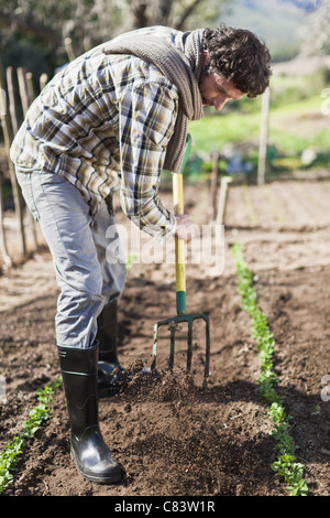 Adult male digging over garden soil Stock Photo - Alamy