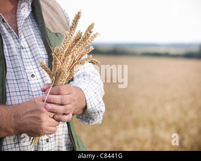 farmer on a wheat field Stock Photo - Alamy