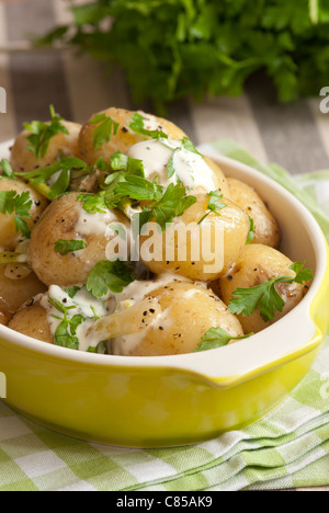 Fresh Boiled New Potatoes With Mint And Butter Isolated Against A White ...