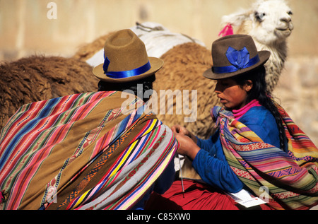 Llamas and Quechua Indian woman in traditional dress weaving wool ...