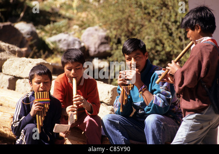 Quechua Indian boy, Quechua Indian, boy, playing flute, flute player ...