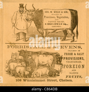 1870 classifieds advertisements from a Chelsea, MA city directory ...