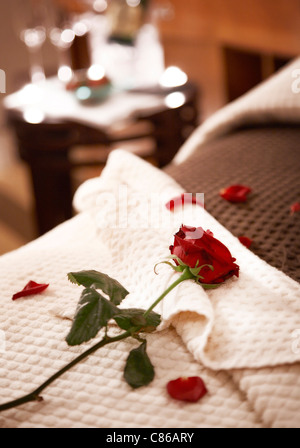 one single red rose left on street floor ground Stock Photo - Alamy