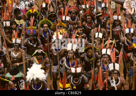 Arara Indigenous People, Amazon rain forest, Brazil. Hunter using cow ...