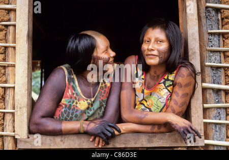 A Ukre Village Brazil A Kayapo woman using a machete to gather food ...