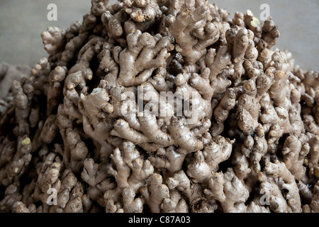 Heap of ginger close up Stock Photo - Alamy