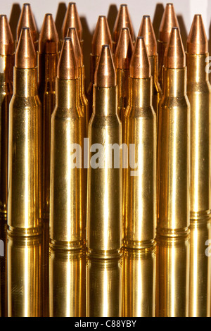 Hunting Rifle Bullets Stock Photo: 39536361 - Alamy