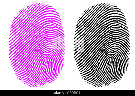 illustration of thumb impression on white background Stock Photo - Alamy