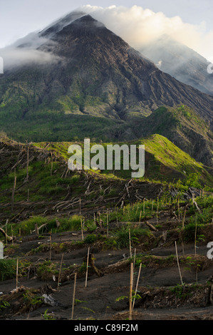 Gunung Merapi volcano from Kinahrejo, Yogyakarta, Java, Indonesia Stock ...