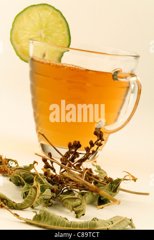 Lemon verbena infusion in a glass cup with a marble mortar and pestle ...