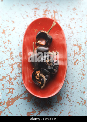 Selective focus shot of some exotic dried flowers on a stem captured in ...