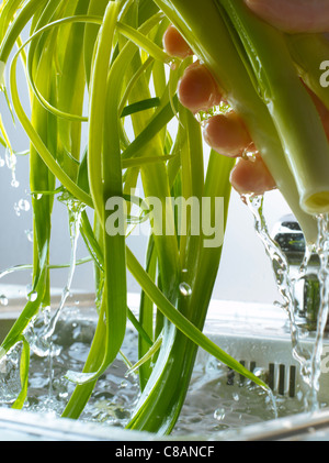 Washing leeks in the sink Stock Photo - Alamy