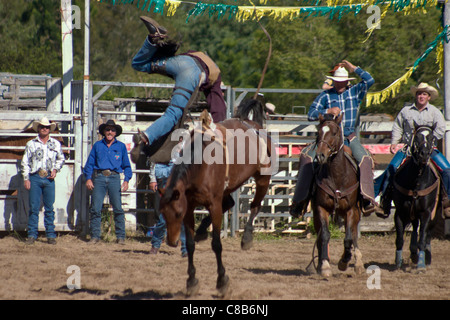 Bucking Bronco, Cowboy falling off Rodeo Horse, Falkland Stampede, BC ...