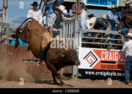 Bull ride at Dayboro country rodeo Stock Photo - Alamy