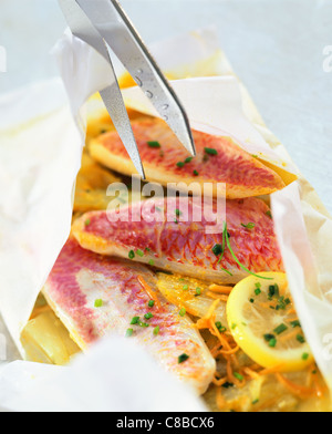 Red mullet fillets with citrus fruit Stock Photo - Alamy