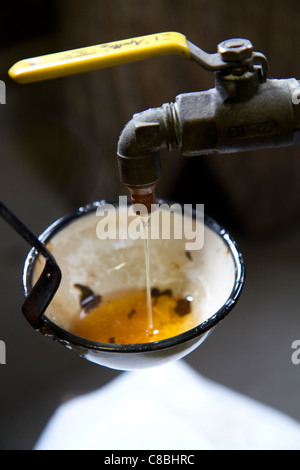 Testing the Maple Syrup Stock Photo - Alamy