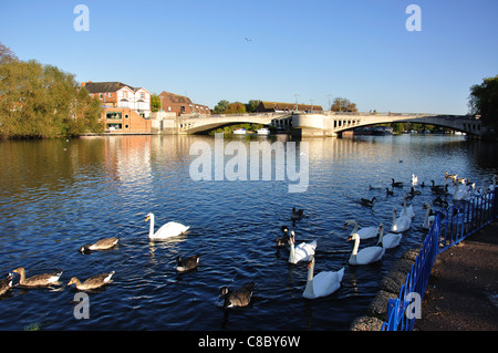 River Thames showing Caversham Bridge, Caversham, Reading, Berkshire ...